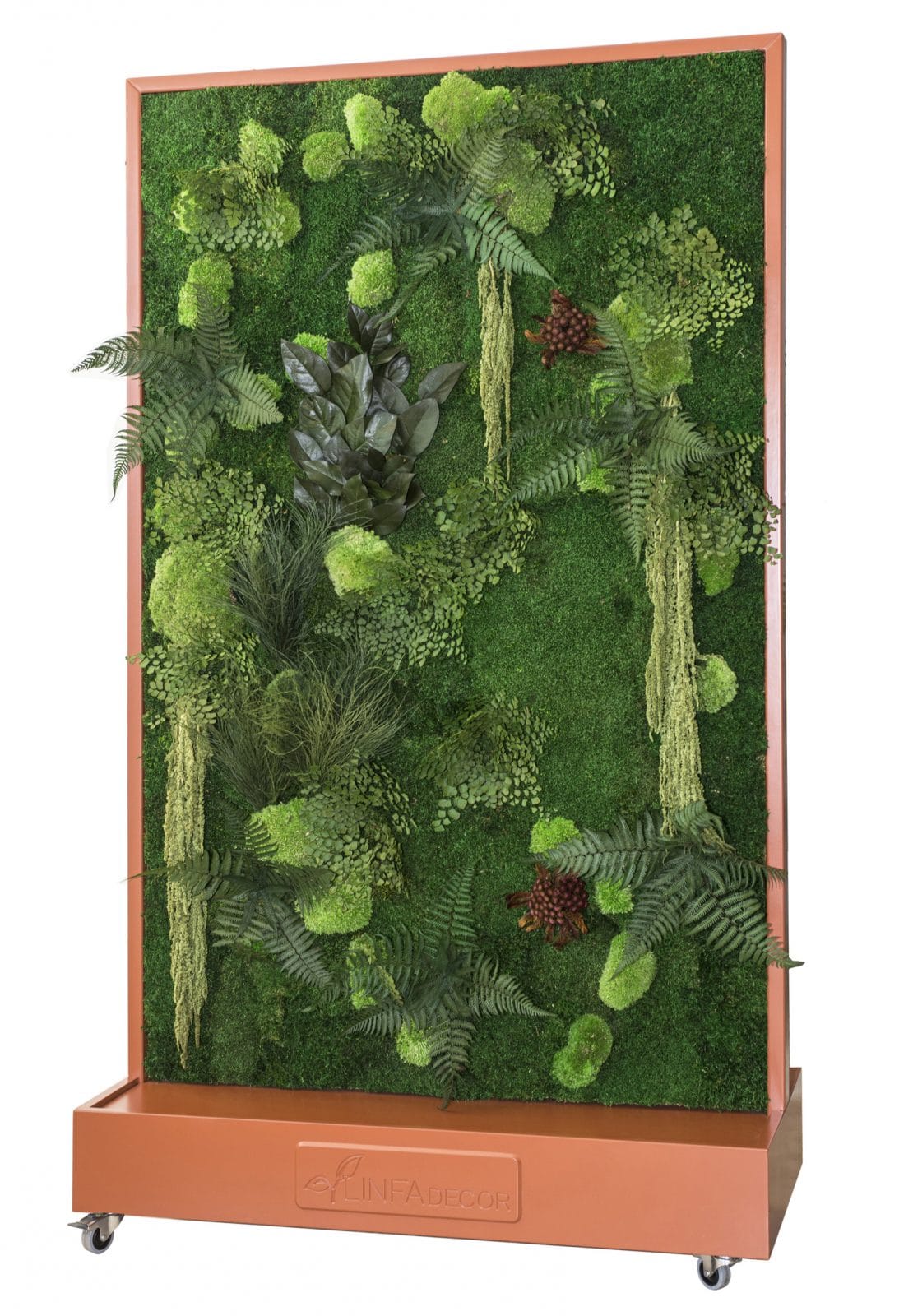 Pareti Divisorie per Interni | Piante Stabilizzate