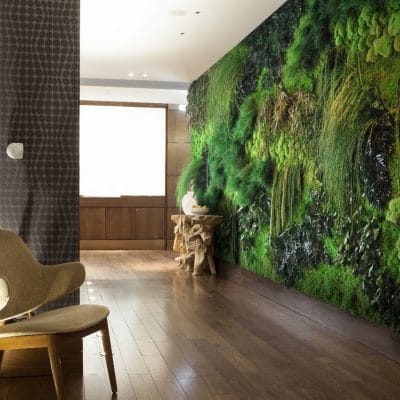 Stabilized Forest Greenwall | Piante stabilizzate