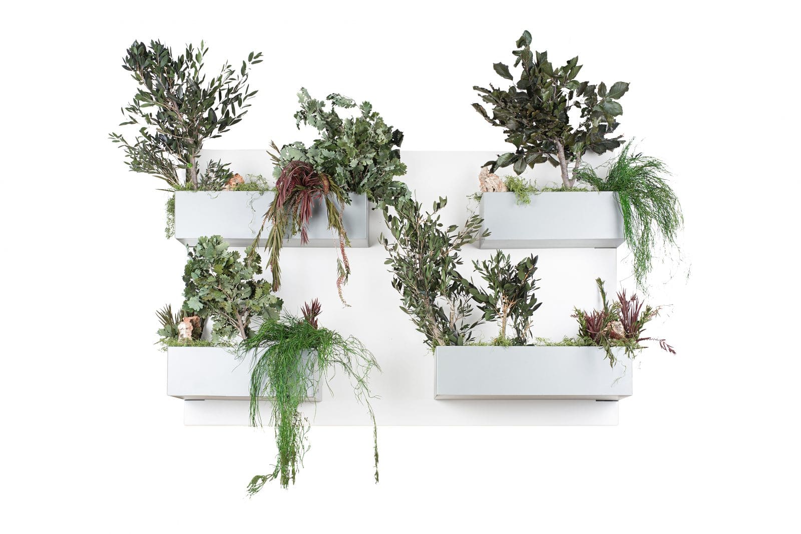 Complementi d’arredo con Vegetali Stabilizzati | Piante Stabilizzate