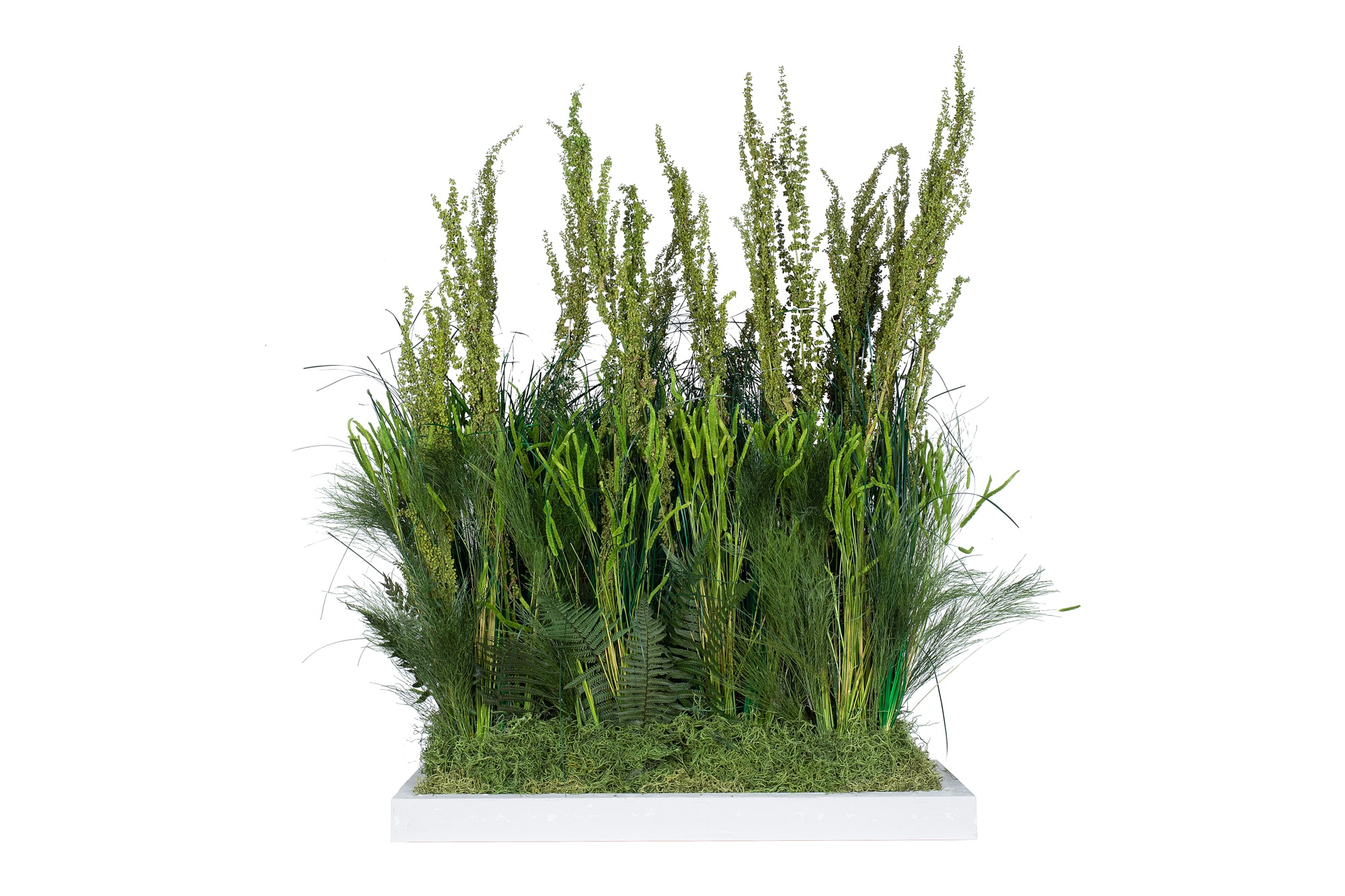 Fioriera da terra con vegetali stabilizzati Atlantis | Piante stabilizzate