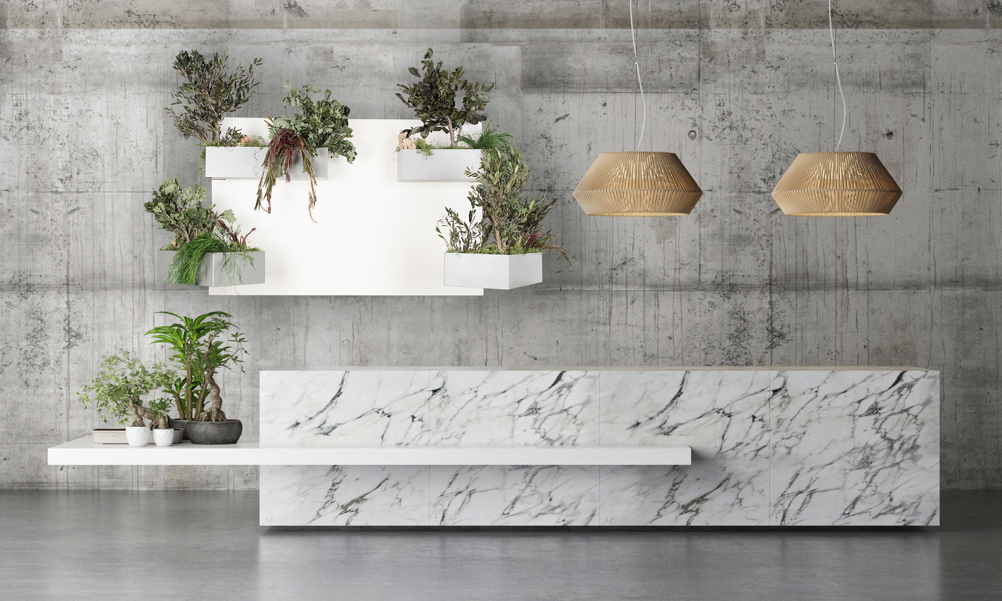 Pareti Vegetali | Piante Stabilizzate