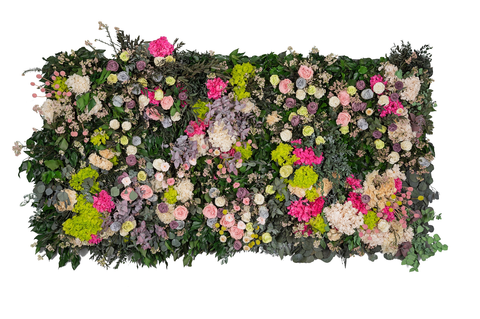 Pareti Vegetali | Piante Stabilizzate